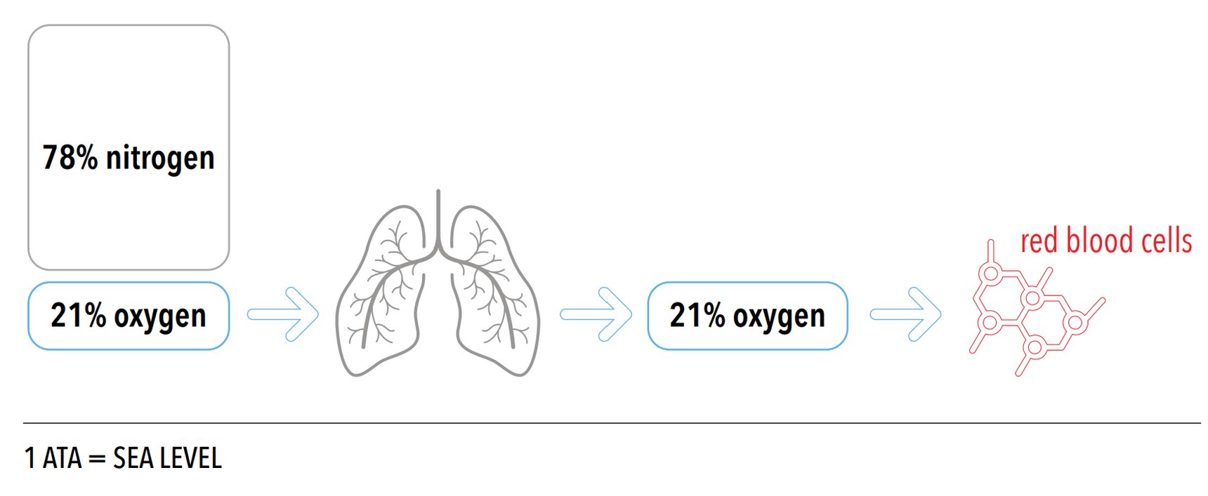 MHBOT - WHAT IS THE DIFFERENCE BETWEEN OXYGEN WITH PRESSURE AND OXYGEN ...
